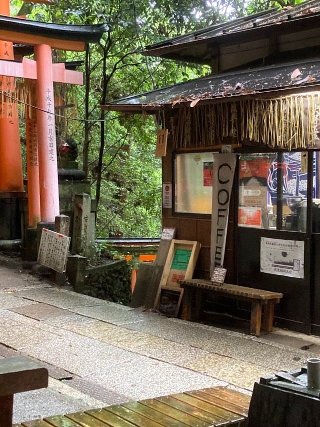 Zilvervis | Fundgrube voor kamerreizigers